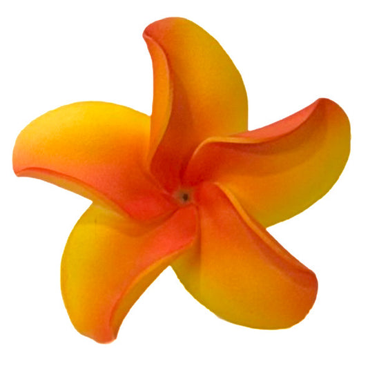 Tap to Shop Flowers (Picks) – tagged "sei" – Le Teremoana