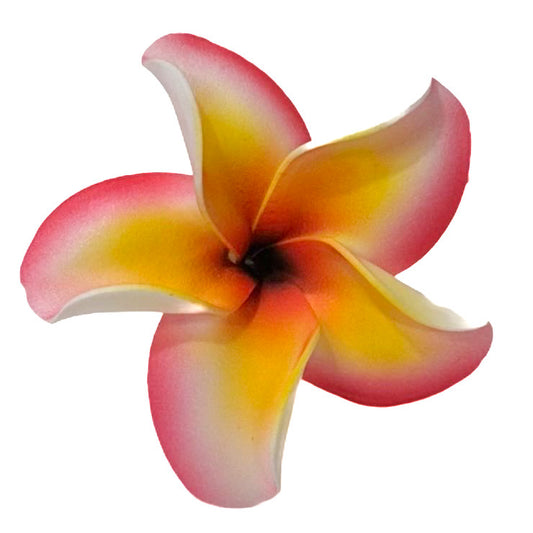 Tap to Shop Flowers (Picks) – tagged "sei" – Le Teremoana